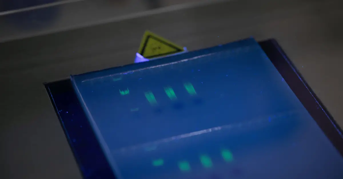 RFLP Analysis- Common Problems and Troubleshooting – Genetic Education