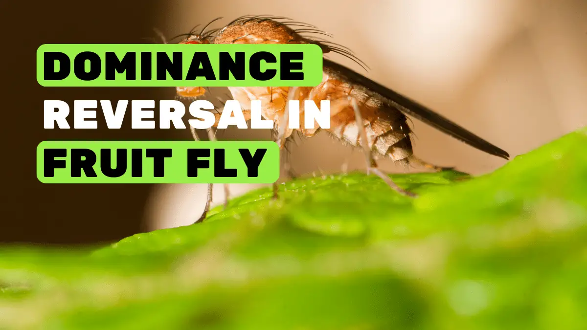 New Research Challenges Our Understanding of Dominant and Recessive ...