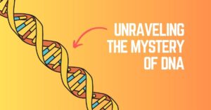 Unraveling the Mystery of DNA: Definition, Structure, Function and Types