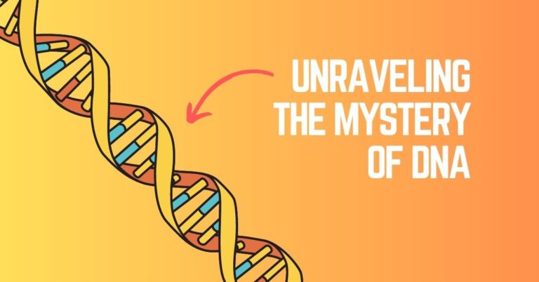 Unraveling the Mystery of DNA: Definition, Structure, Function and Types