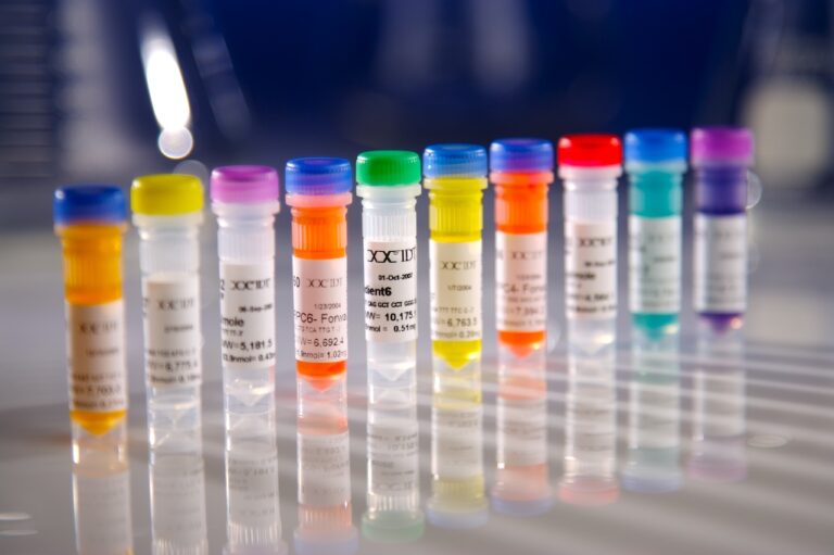 How to Prepare an Excellent PCR Reaction? A step-by-step Guide