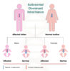 Different Types of Genetic Inheritance Patterns