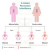 Different Types of Genetic Inheritance Patterns