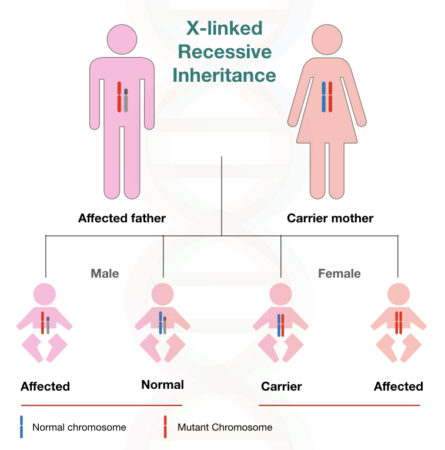 Different Types of Genetic Inheritance Patterns