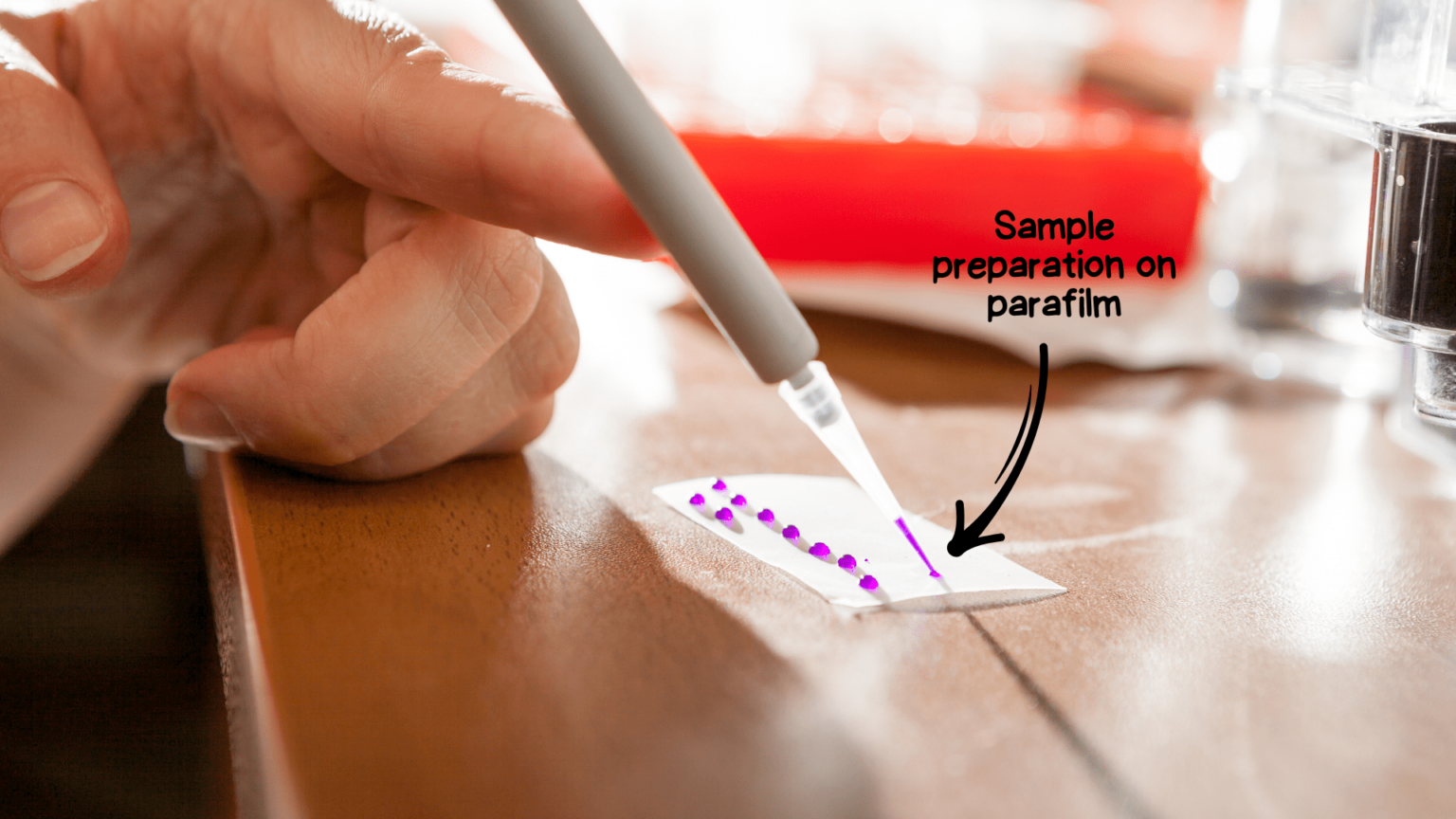 DNA gel loading dye- Bromophenol Blue and Xylene Cyanol