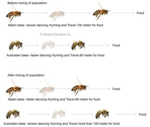 Behavioural Genetics class 1