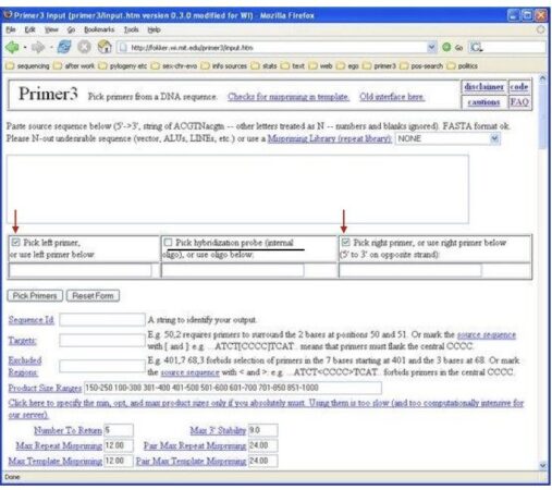 How to Design PCR Primers