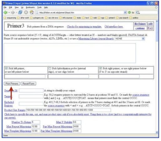 How to Design PCR Primers