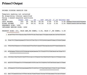 How to Design PCR Primers
