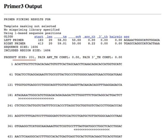 How to Design PCR Primers