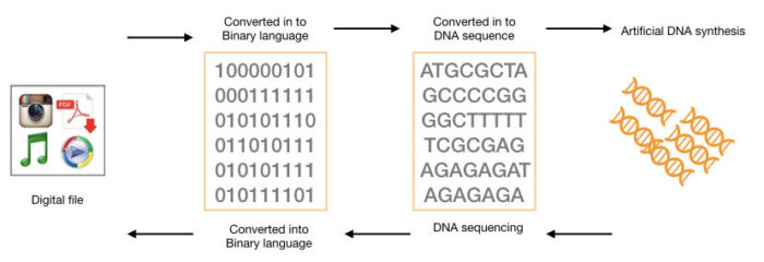 DNA digital data storage