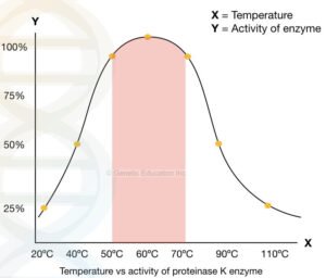 Proteinase K DNA extraction method