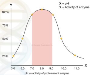 Proteinase K DNA extraction method