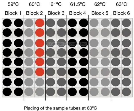 PCR Test: 10 tips on how to do it