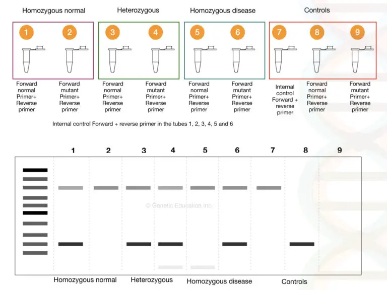 10 SNP Genotyping Techniques – Genetic Education