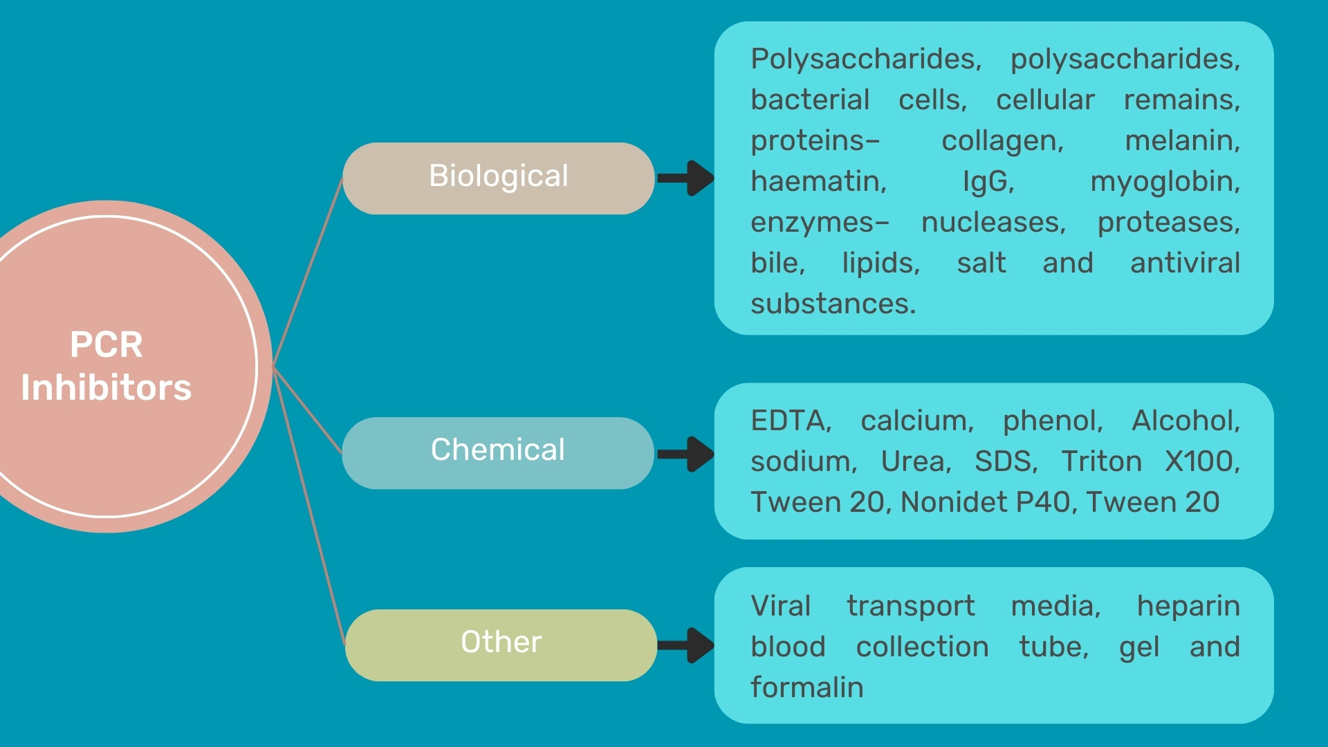 What are PCR Inhibitors and How to Remove Them?