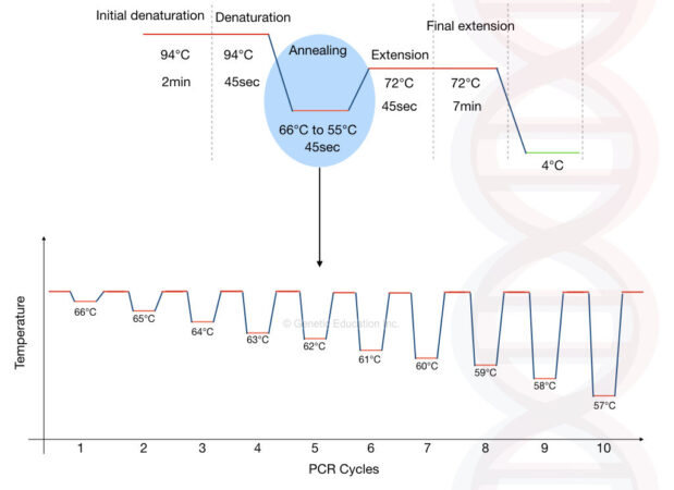 What is touchdown (TD)-PCR?