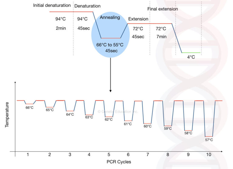 What is touchdown (TD)-PCR?