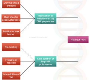 What is a hot start PCR?