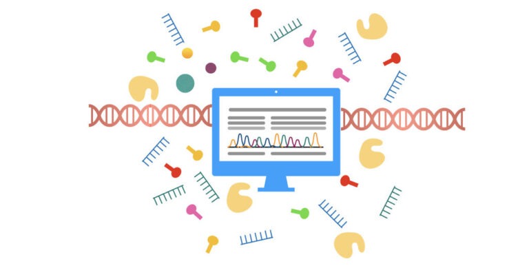 What is an In Silico PCR? How to Perform it?