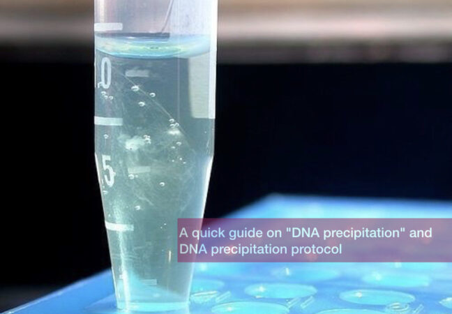 A Quick Guide on DNA Precipitation and Protocol