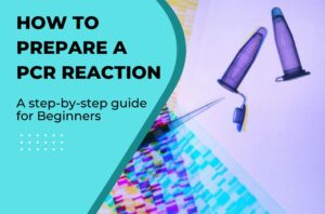 How to Prepare an Excellent PCR Reaction? A step-by-step Guide