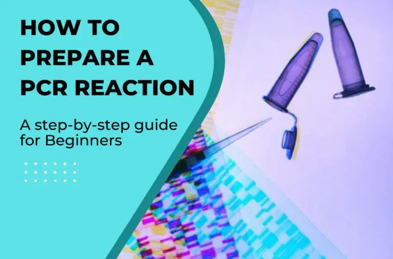 How to Prepare an Excellent PCR Reaction? A step-by-step Guide