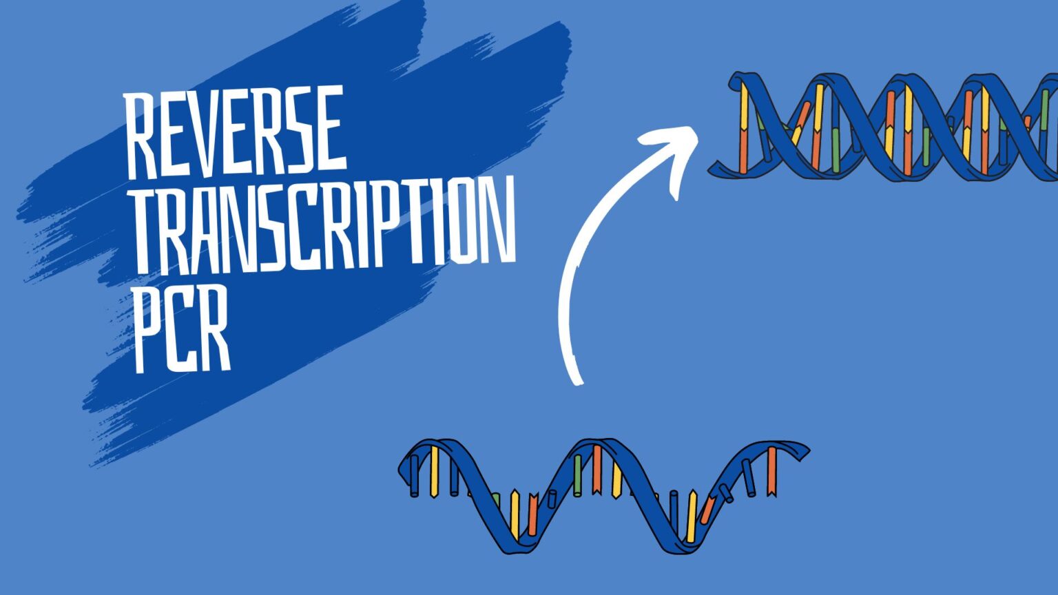 Reverse Transcription PCR: Principle, Procedure, Protocol, Advantages, Limitations, Applications