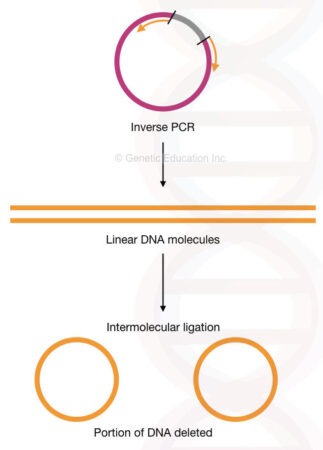 Site-Directed Mutagenesis: Methods and Applications