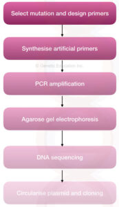 Site-Directed Mutagenesis: Methods and Applications