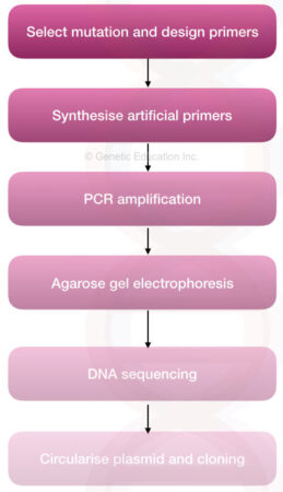 Site-Directed Mutagenesis: Methods and Applications