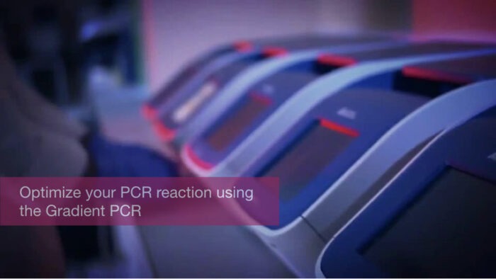Gradient PCR Archives – Genetic Education