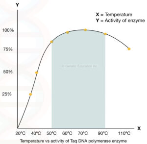 Choosing the right DNA polymerase for your PCR experiment
