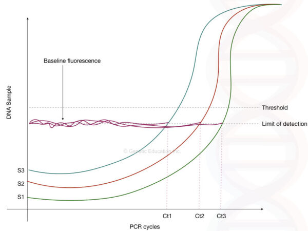 Real-time PCR: Principle, Procedure, Advantage, Limitations and ...
