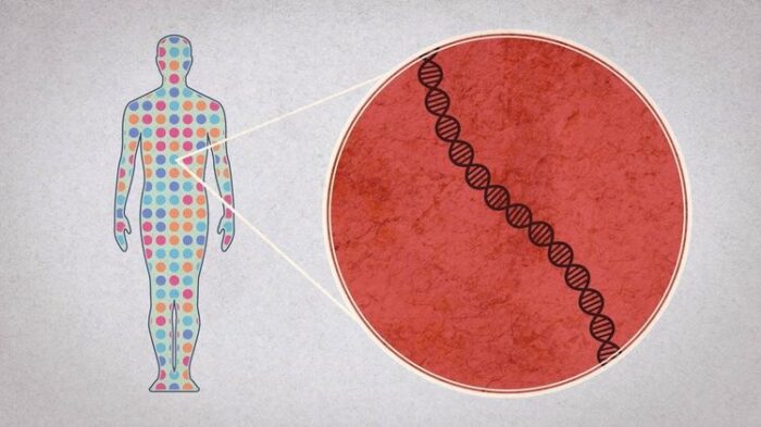 What is Gene Therapy? and How Does it Work?