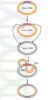 Replicative Transposition of DNA transposons and Retrotransposons