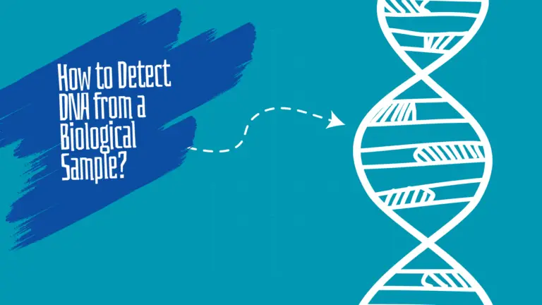 How to Detect DNA from a Biological Sample?