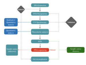 How to Detect DNA from a Biological Sample?
