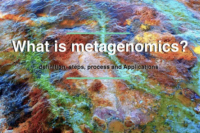 What is Metagenomics?- Definition, Steps, Process and Applications