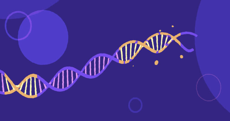 Introduction to Exon and Intron – Genetic Education