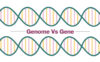“Genome Vs Gene”, An Unusual Comparison