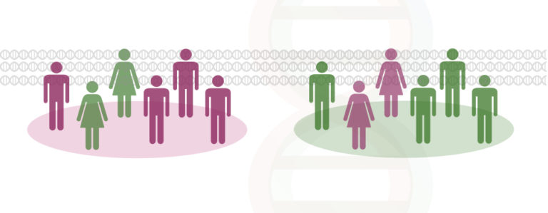 An Introduction To Genome-Wide Association Study (GWAS)