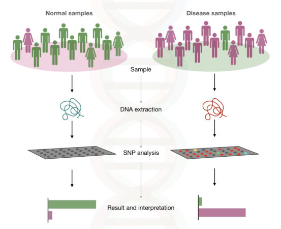An Introduction To Genome-Wide Association Study (GWAS)