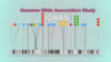 An Introduction To Genome-Wide Association Study (GWAS)
