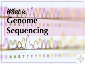 What is Genome Sequencing?- 3 Best Genome Sequencing Methods
