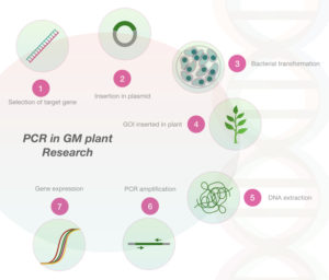 50 Powerful Applications Of PCR