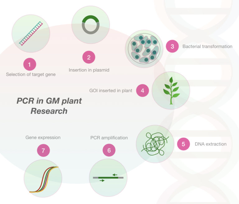 50 Powerful Applications Of PCR
