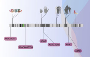 A Brief Introduction to "Gene Mapping"
