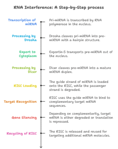 What is RNA Interference and How Does it Work?
