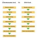 How is Genetic Testing done?- Explained